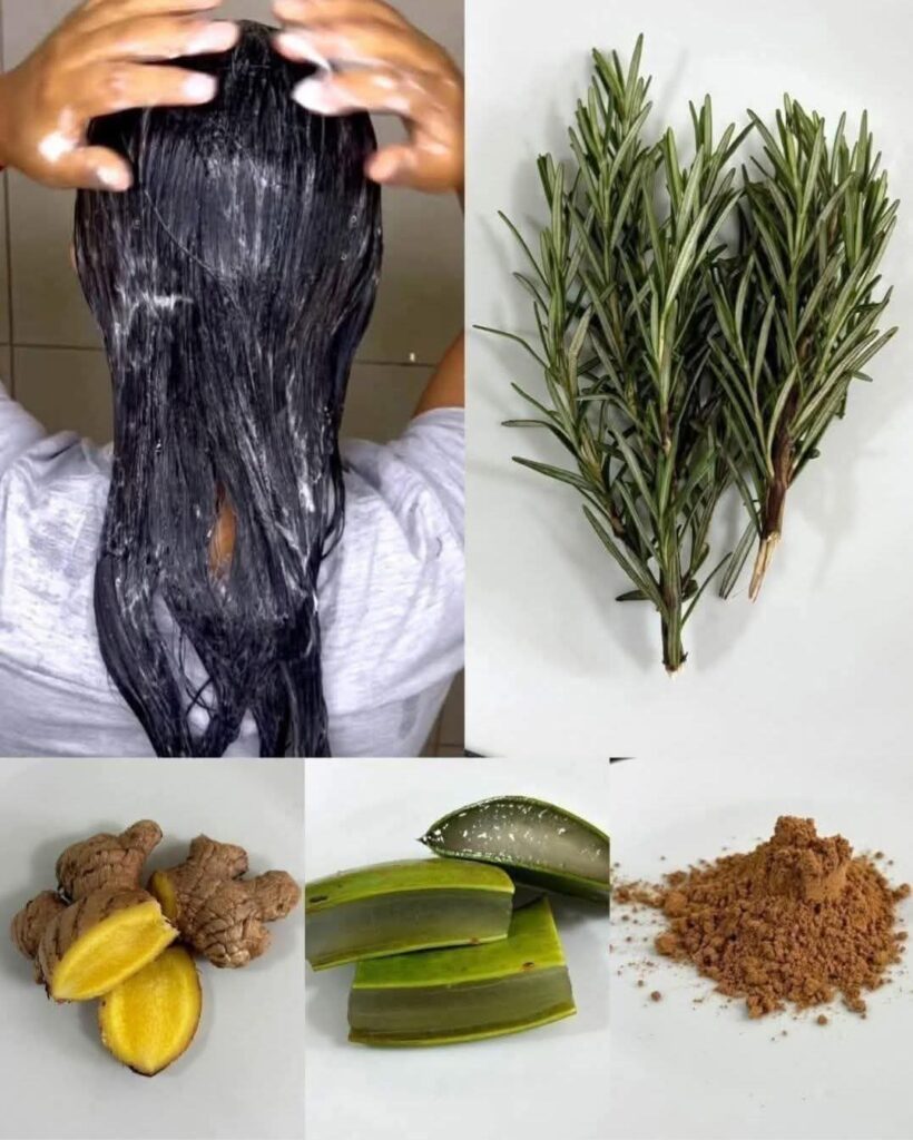 Shampoo Casero de Sábila y Romero: Haz Crecer tu Cabello en Solo 15 ...